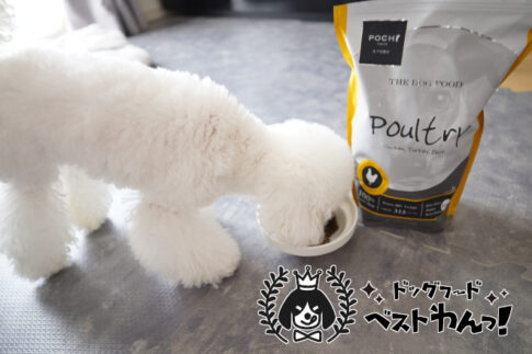 POCHI ザ・ドッグフードの口コミや評判も徹底調査！人気の種類やうんちの状態についても解説！ Dog salon Star sea（スターシー）